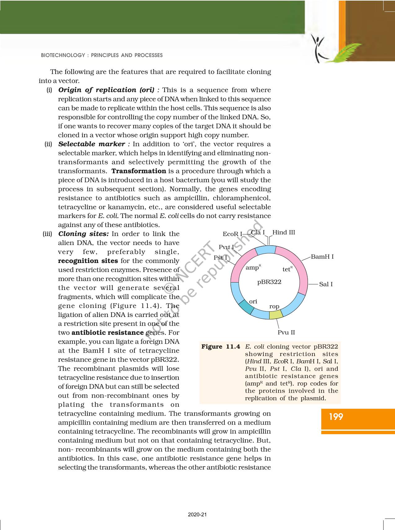 Biotechnology Principles And Processes - NCERT Book of Class 12 Biology